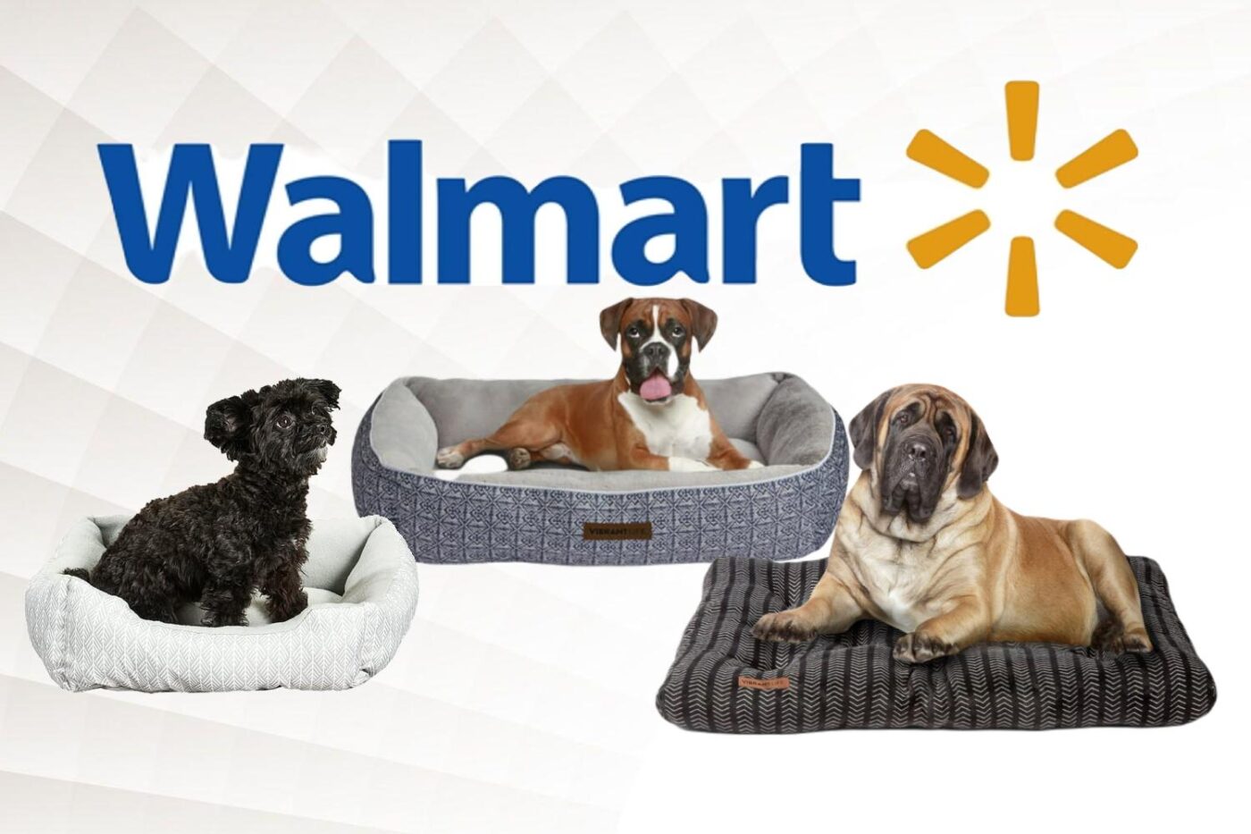 Best Dog Beds Walmart: Top Picks for Small, Medium, and Large Dogs ...