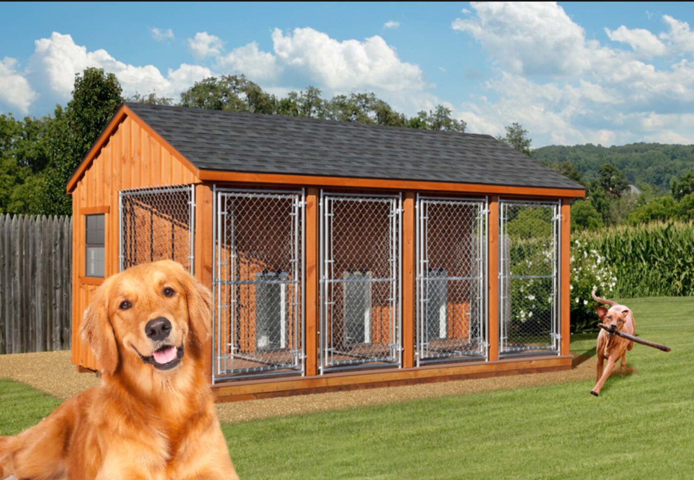 Dog Kennels for Sale: Find the Perfect Outdoor Option - All About Pups