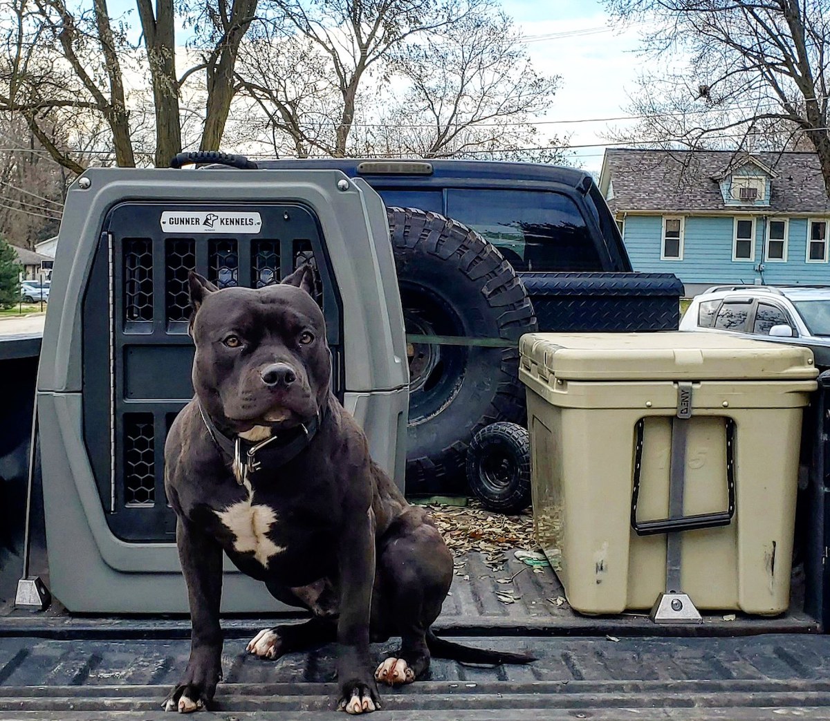 Gunner Kennels: The SAFEST Dog Kennels - All About Pups