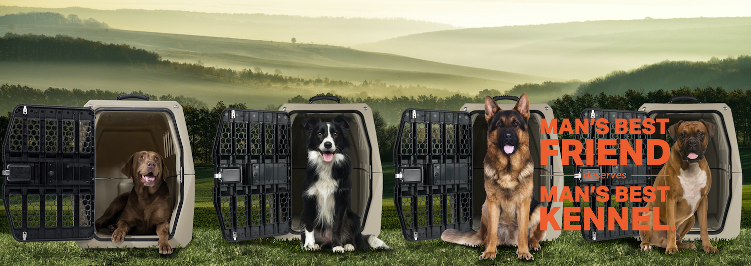 Gunner Kennels: The SAFEST Dog Kennels - All About Pups