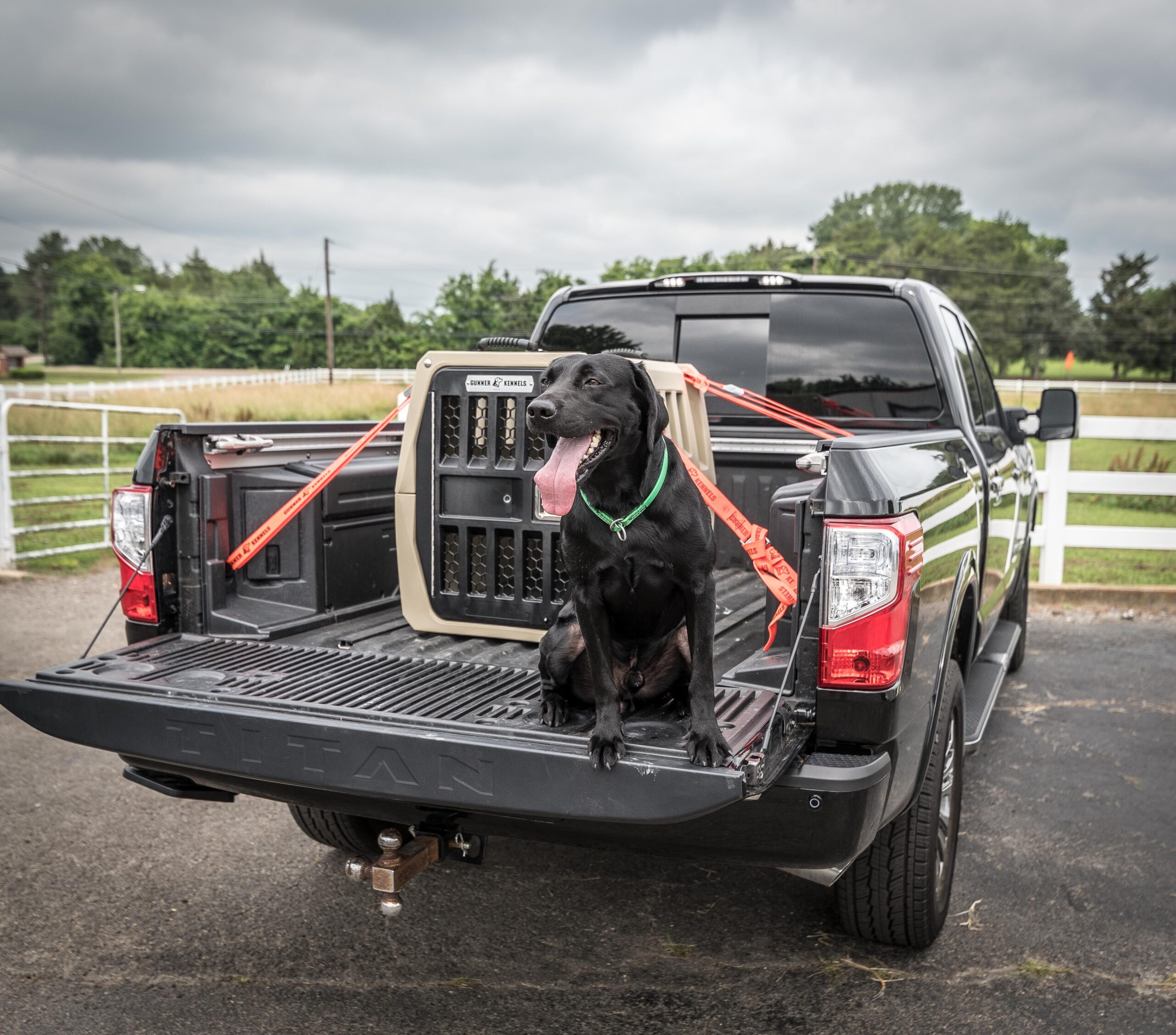 Gunner Kennels: The SAFEST Dog Kennels - All About Pups