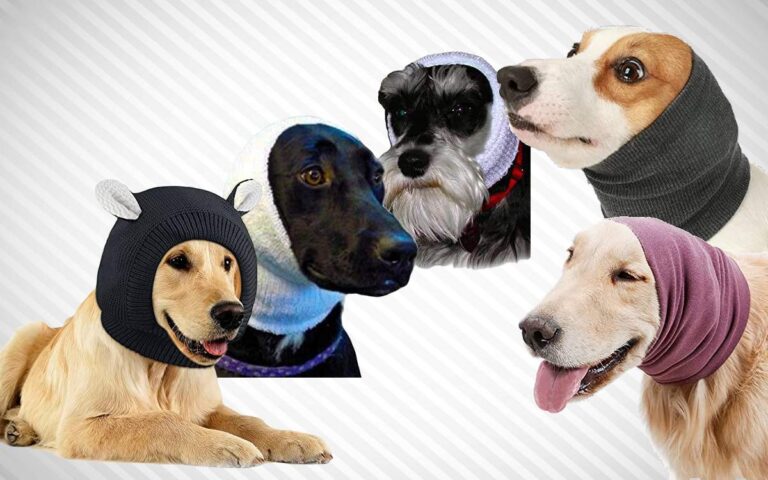 Quiet Ears for Dogs: Top Picks Reviewed - All About Pups