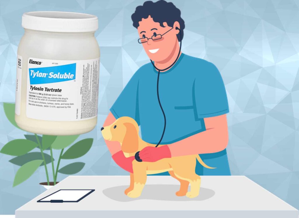 Tylan Powder For Dogs: Everything You Need To Know! - All About Pups